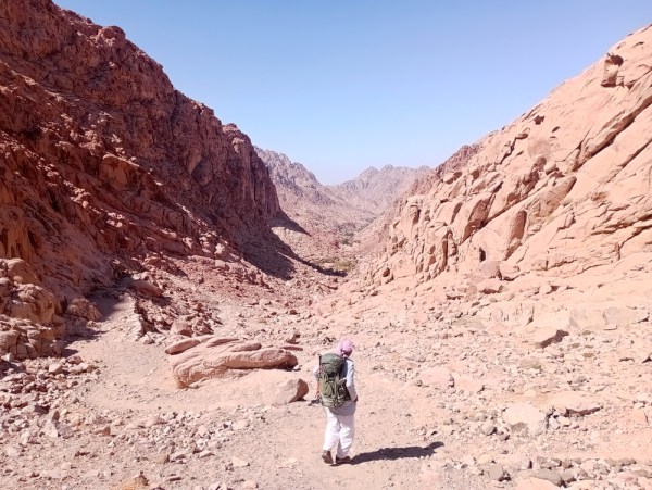 Dahab (Égypte) – Glott' Trotteuse
